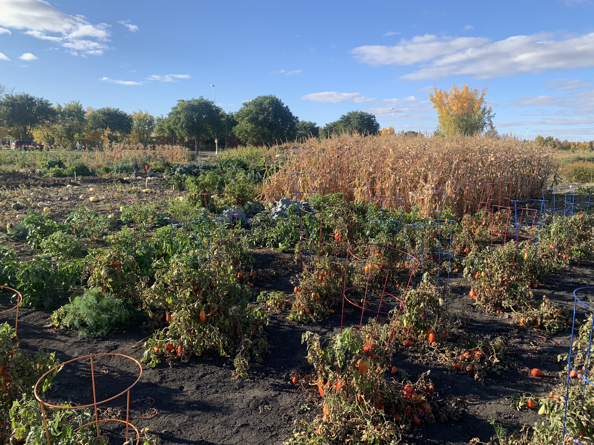 Yunker Farm Garden Plots - Available for Rent | Fargo Parks