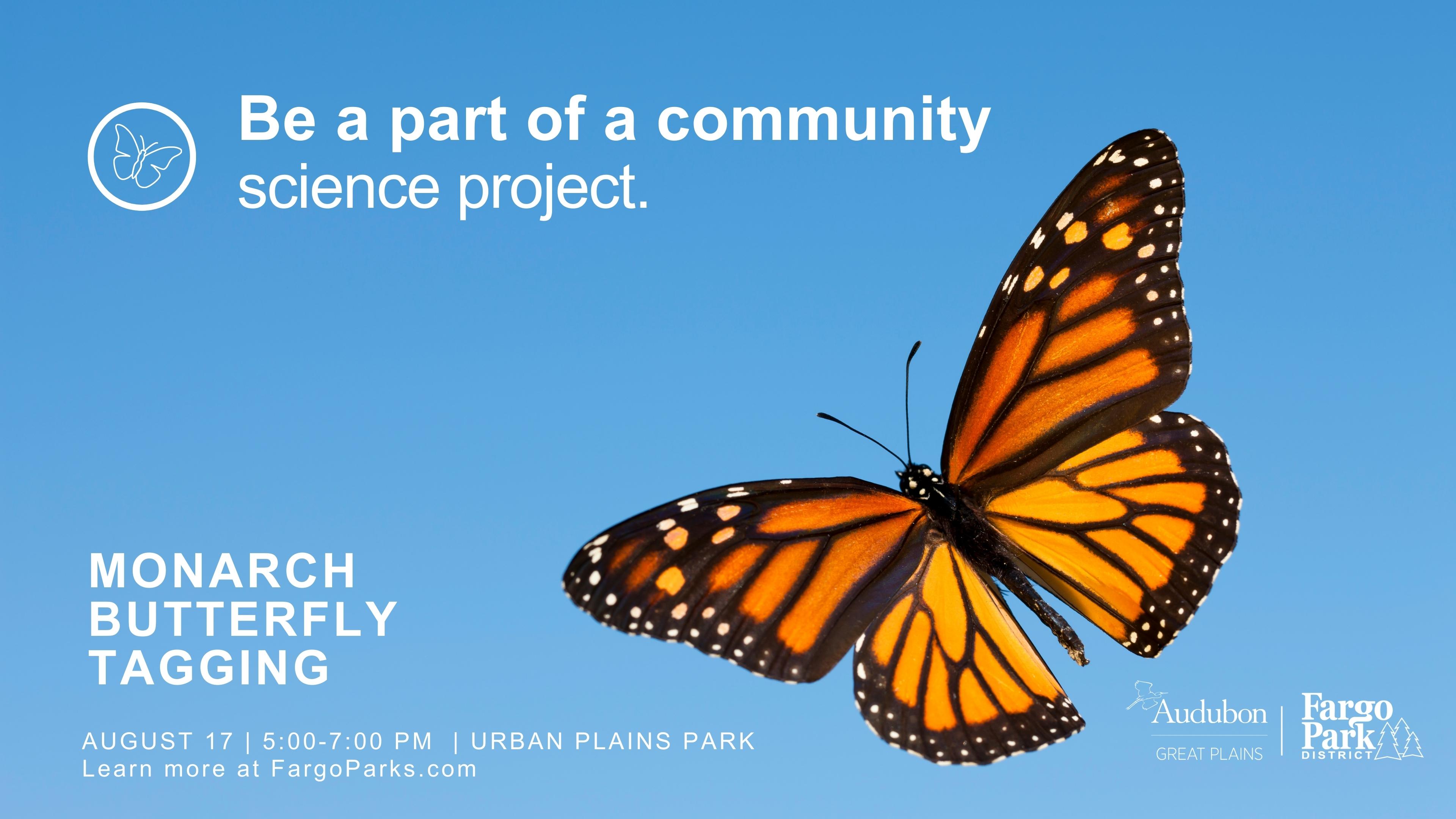 Monarch Butterfly Tagging | Fargo Parks