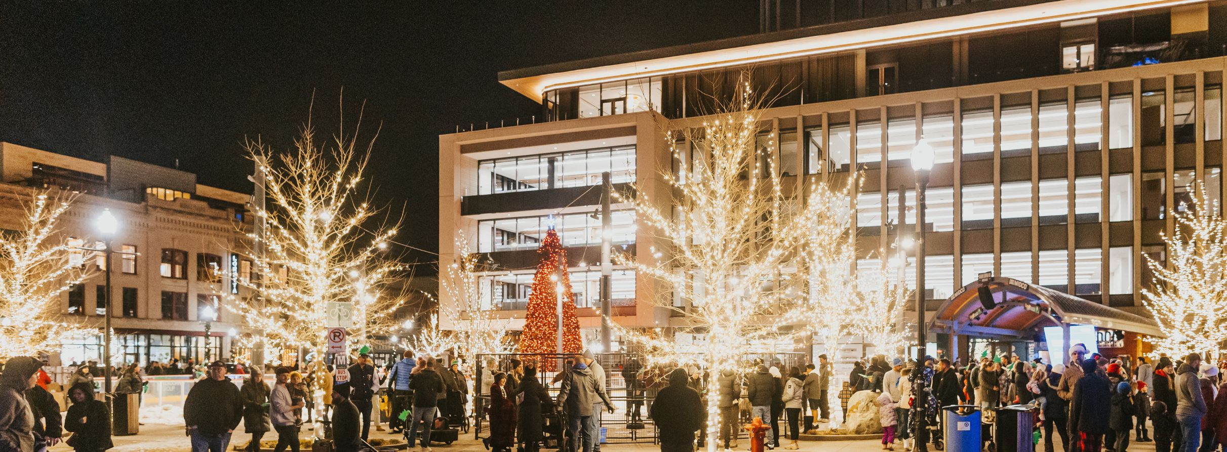 Tree Lighting and Rink Opening | Fargo Parks