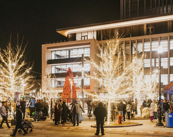 Tree Lighting and Rink Opening | Fargo Parks