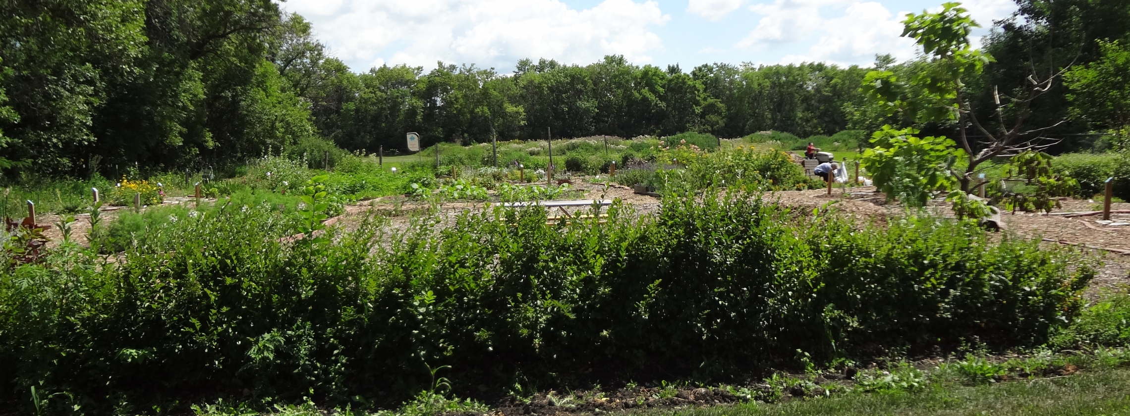 Calling all community gardeners: Yunker Farm Park Garden Plots ...