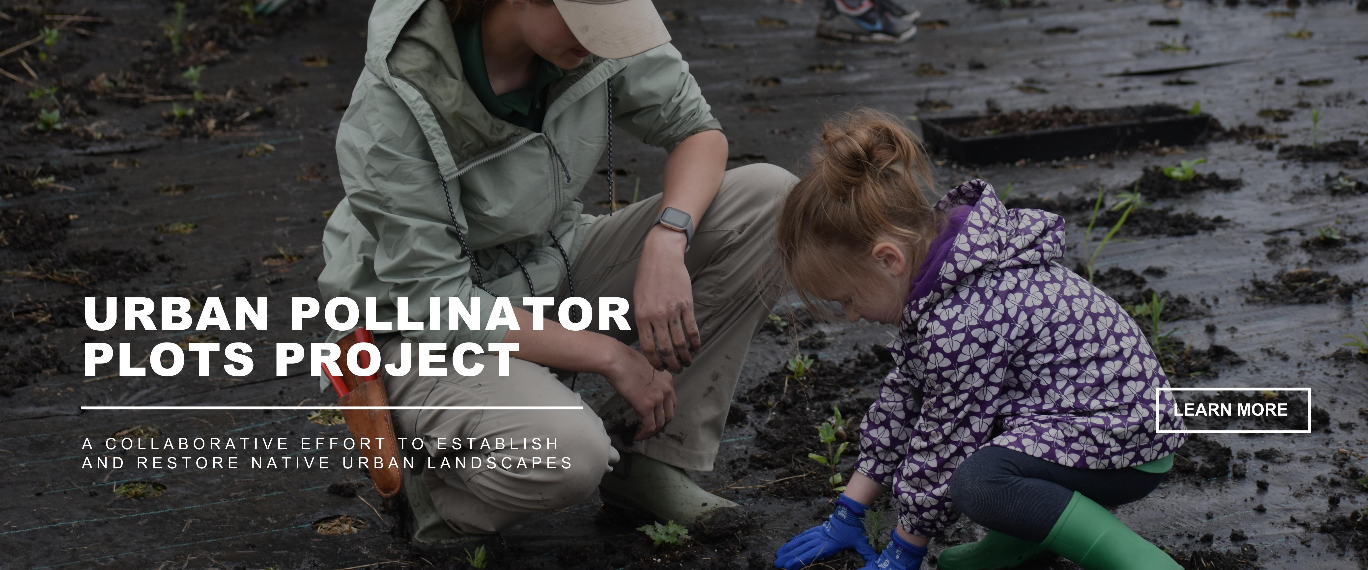 Urban Pollinator Plots Project | Fargo Parks